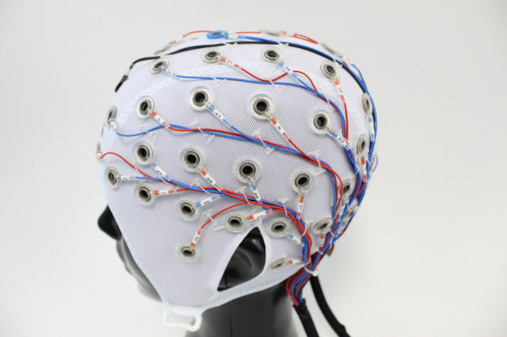 64Ch Standard BrainCap for actiCHamp Plus – Easycap shop